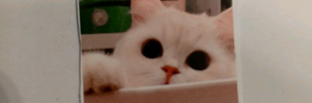 Географический Снюсоед