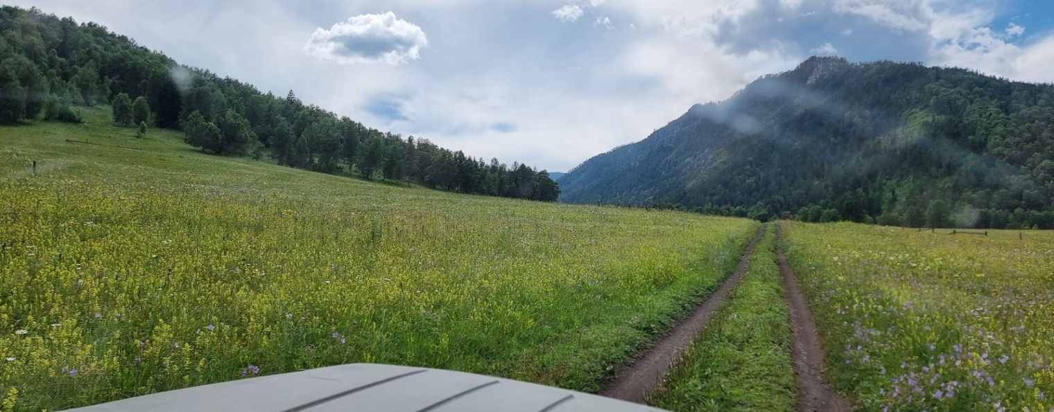 Дикие маршруты.