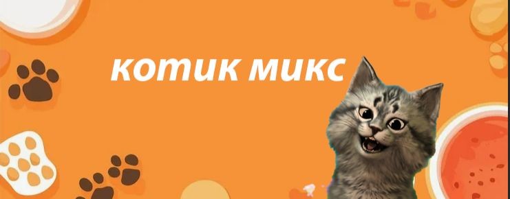 Котик Микс ☑️