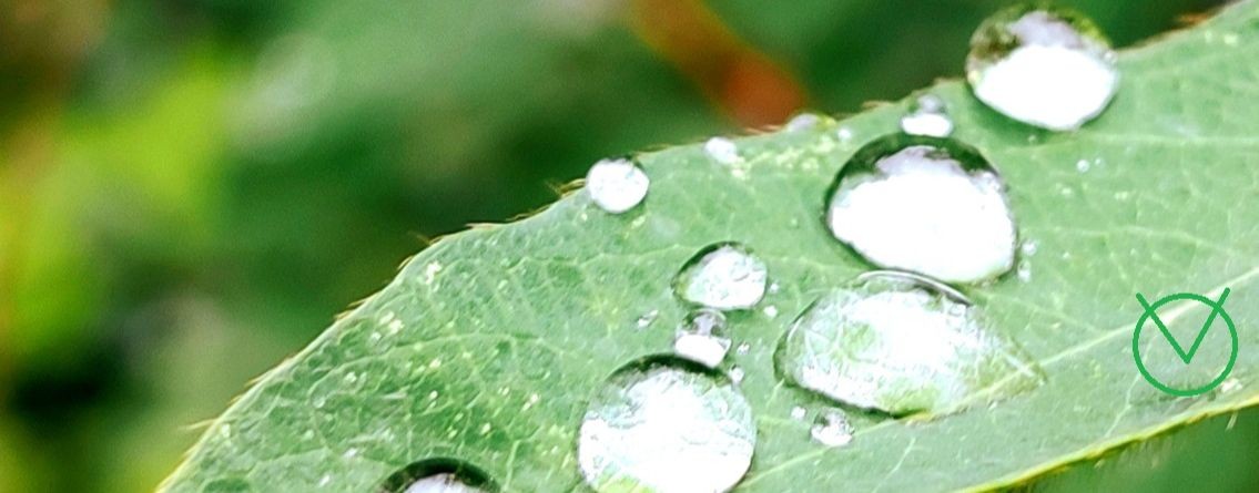 Музыка для релаксации и сна