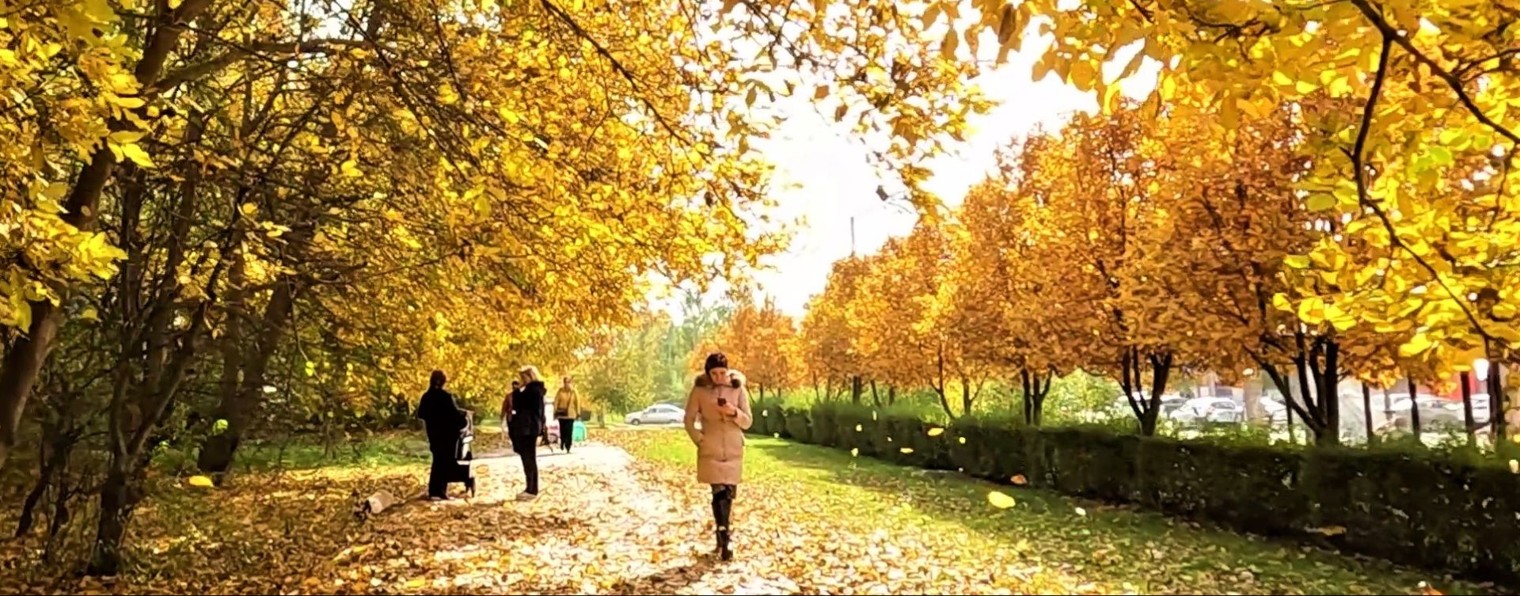 ИВАН Миткин -- видеоЛЮБИТель