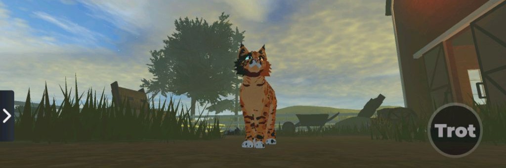 {𝙾𝚌𝚔𝚘л𝚘𝚔 𝙰м𝚎т𝚞𝚌т𝚊 𝚠𝚌𝚞𝚎}