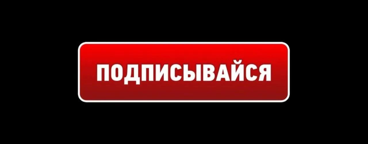 СУСЛЯ242