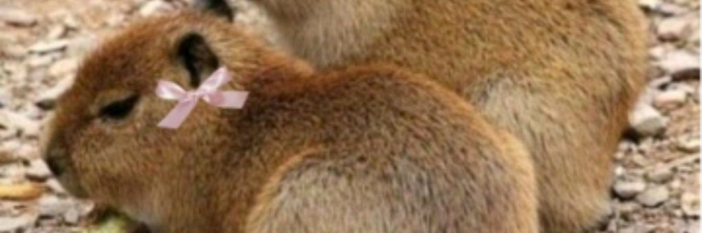 🍸^^°`•~Adriana_esthetics_vlogs~•`°^^🍸