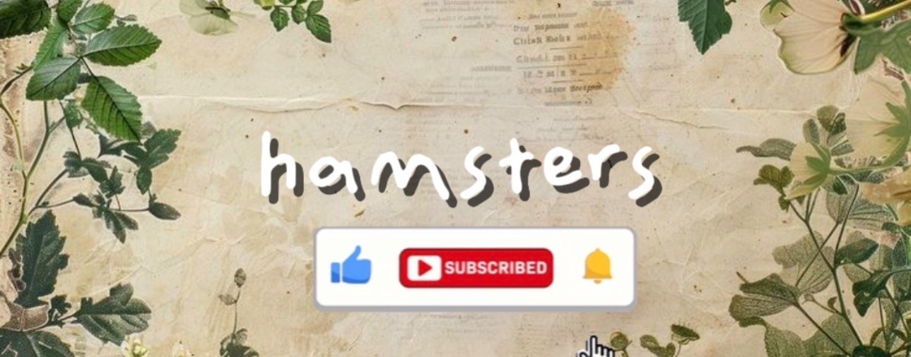 hamsters ⋆. 𐙚 ˚