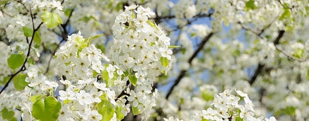 В гостях у Марины