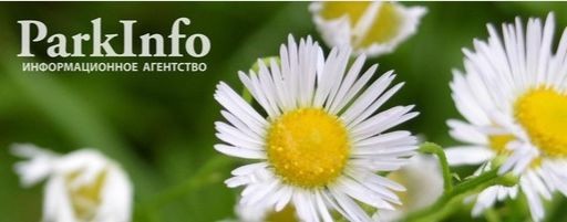 ИА ParkInfo