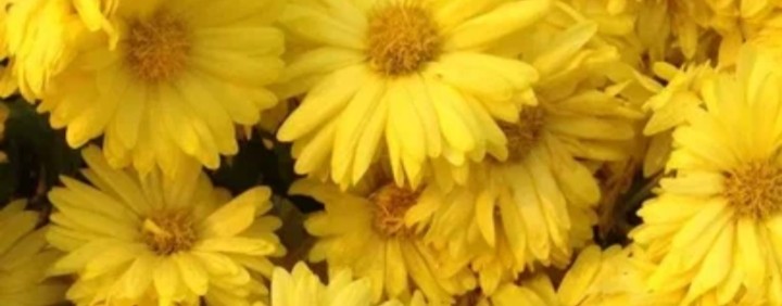 Чудеса света