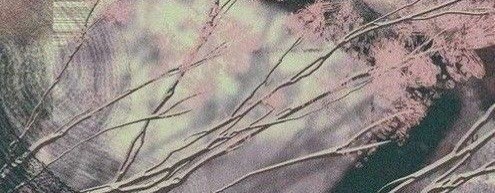 ᴄонᴇ4ᴋᴀ_ʜɪsᴛᴏʀʏ🍒