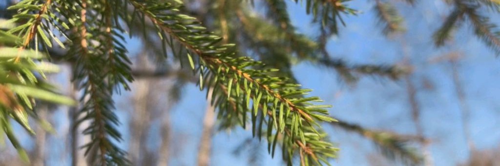 Рыбалка с Arturom