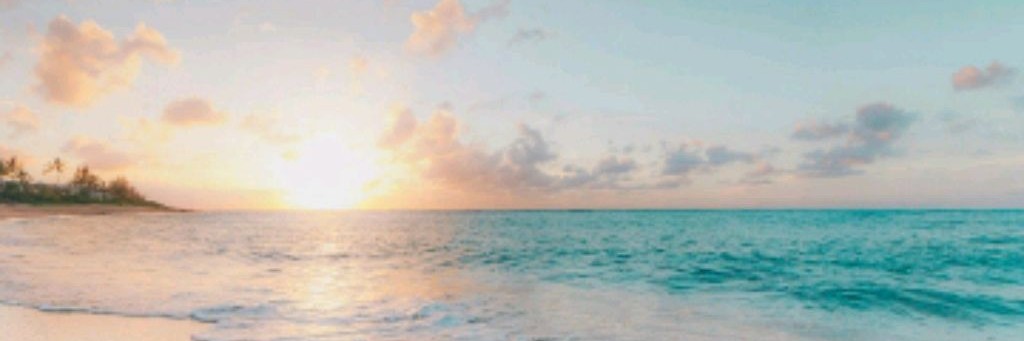 🥥~♥︎𝒜𝓂𝒷ℯ𝓇 𝒻𝒶𝓂𝒾𝓁𝓎 𝒶𝓌♥︎~🌴