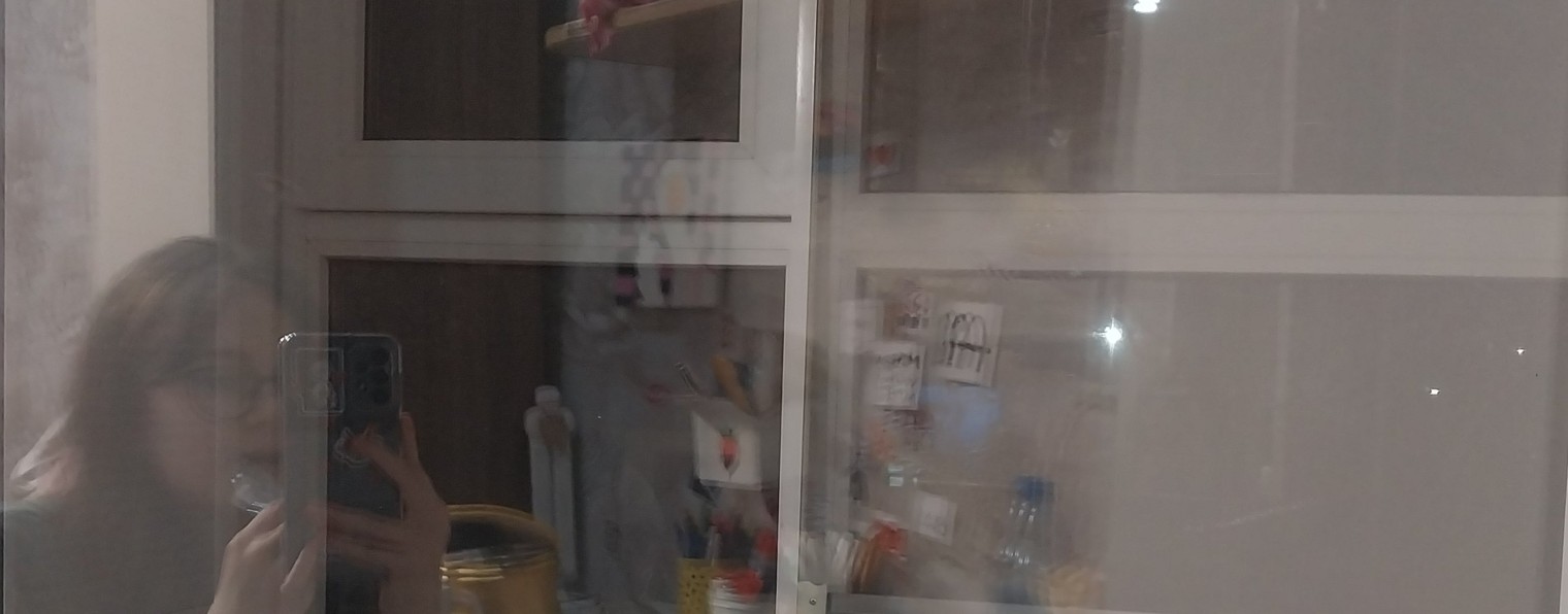 🌸サーシャ🎀