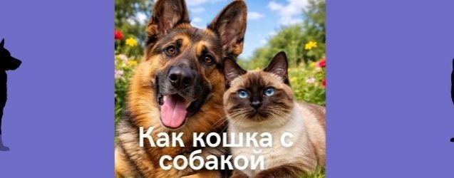 Как кошка с собакой