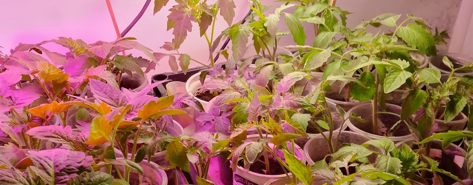 море в Керчи