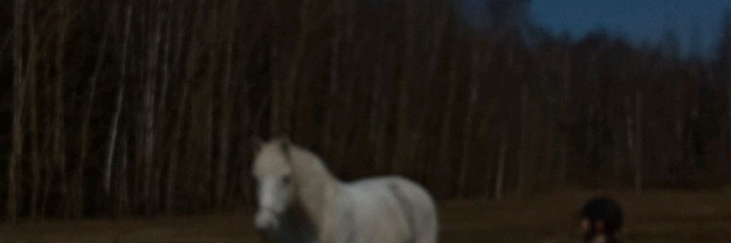 КСК серебро