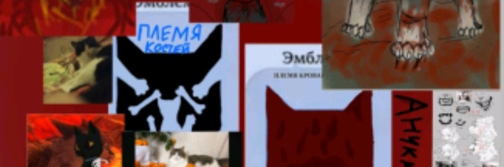 🕸️Костезвёзд🕸️