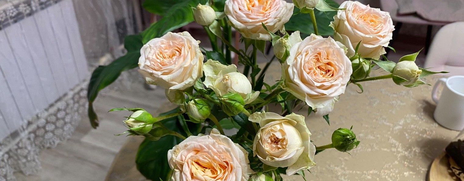 Инна • Дом • Уют