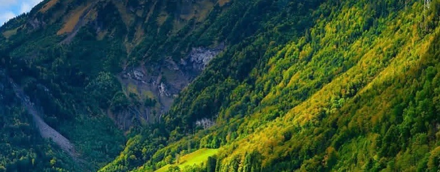 Красота