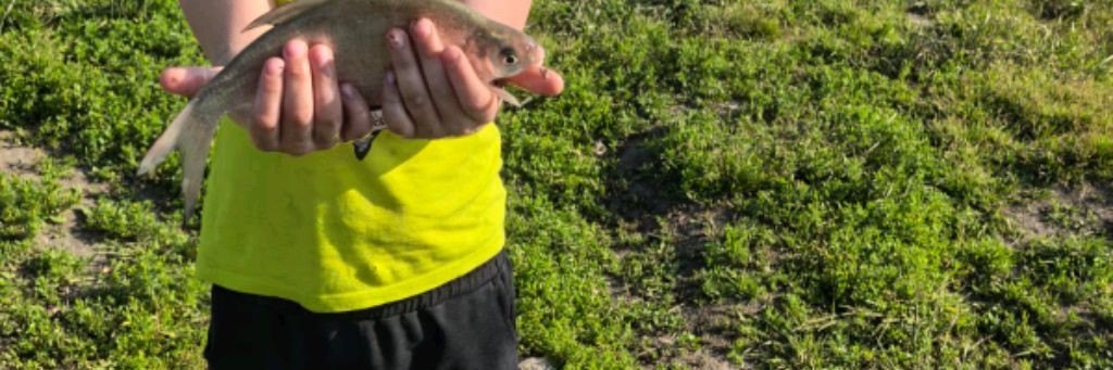 Рыбалка И Жизнь