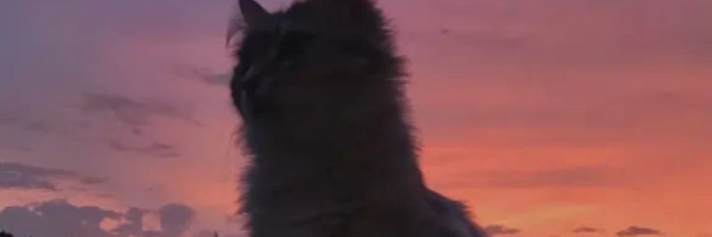 МашаШStar💗💗💗