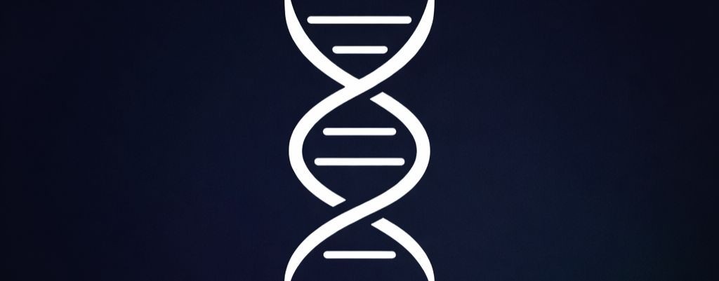 NeuroDNK — Школа прикладного AI