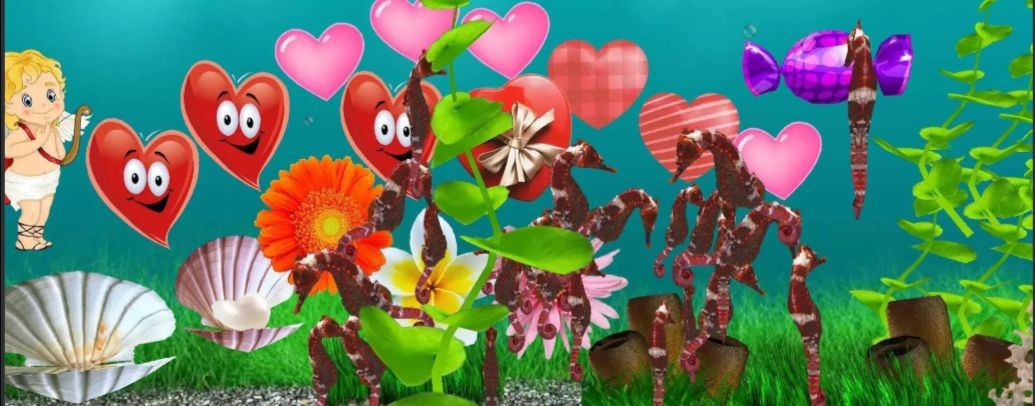 Татьяна Соловьёва