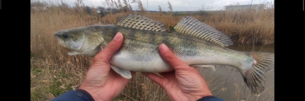 Мормышинг 161