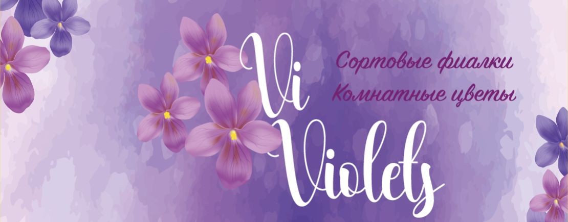 Vi_violets