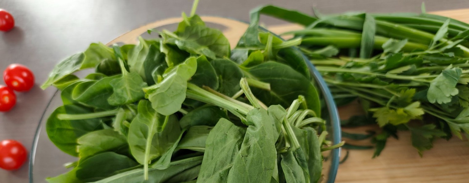 Мария Сурова – рецепты и советы