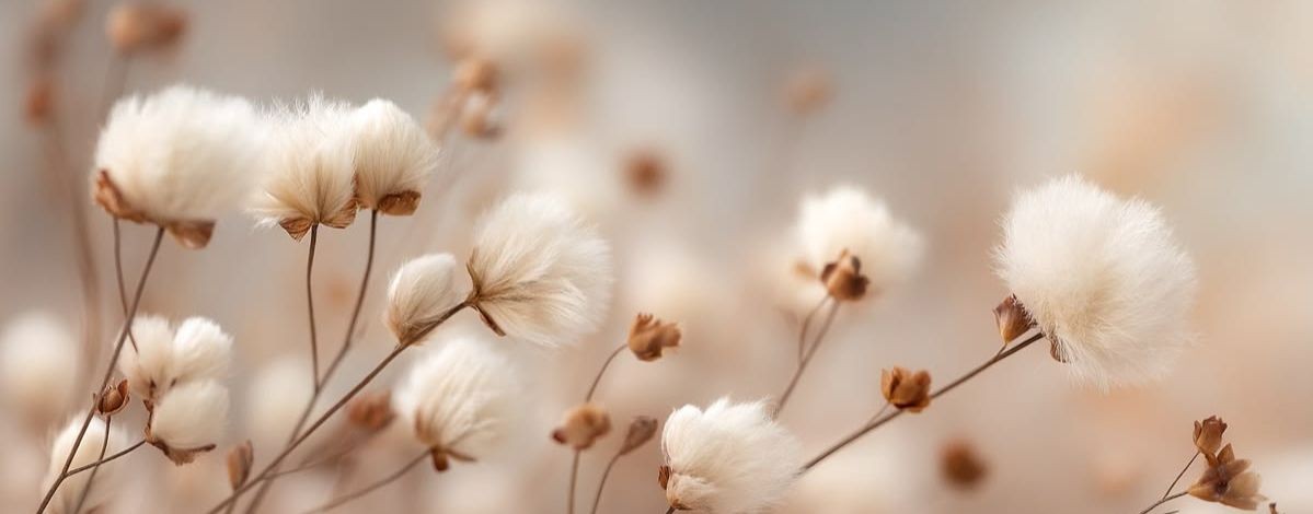 Алиса Гладышева