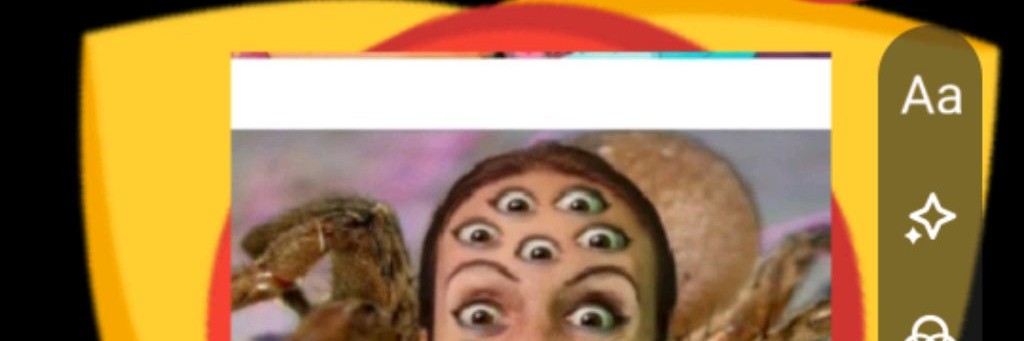 🌙🐻Мия SBA🐻🌙