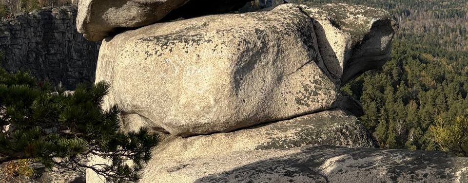 Важный Санек