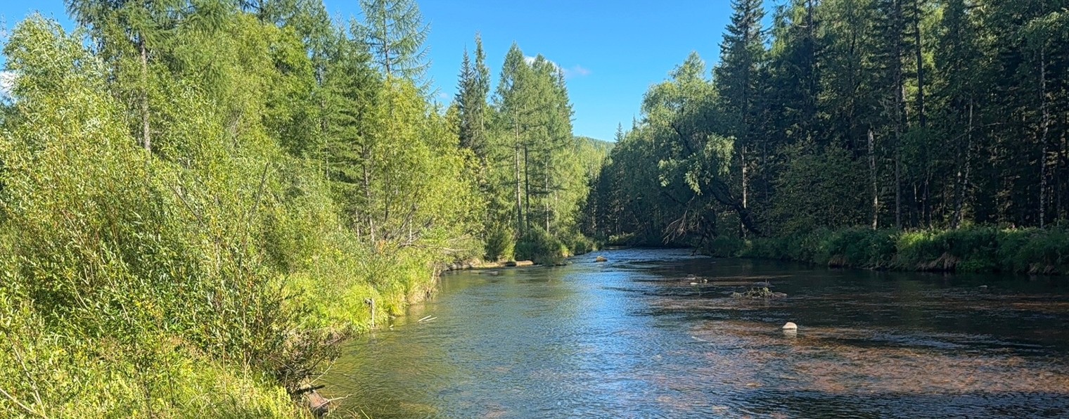 Приятные прогулки