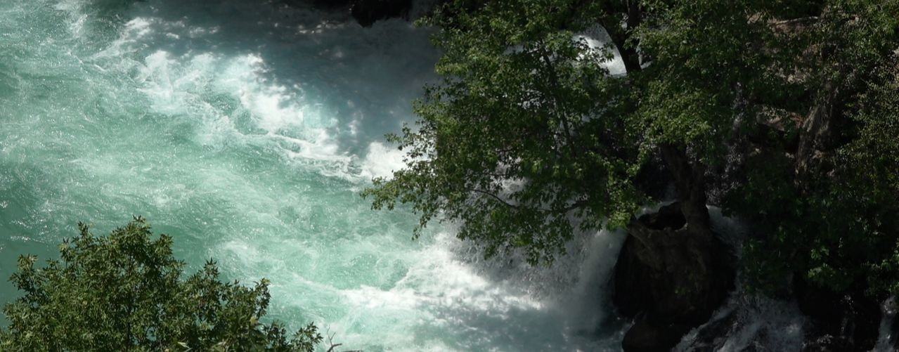 Ольга Еремеева