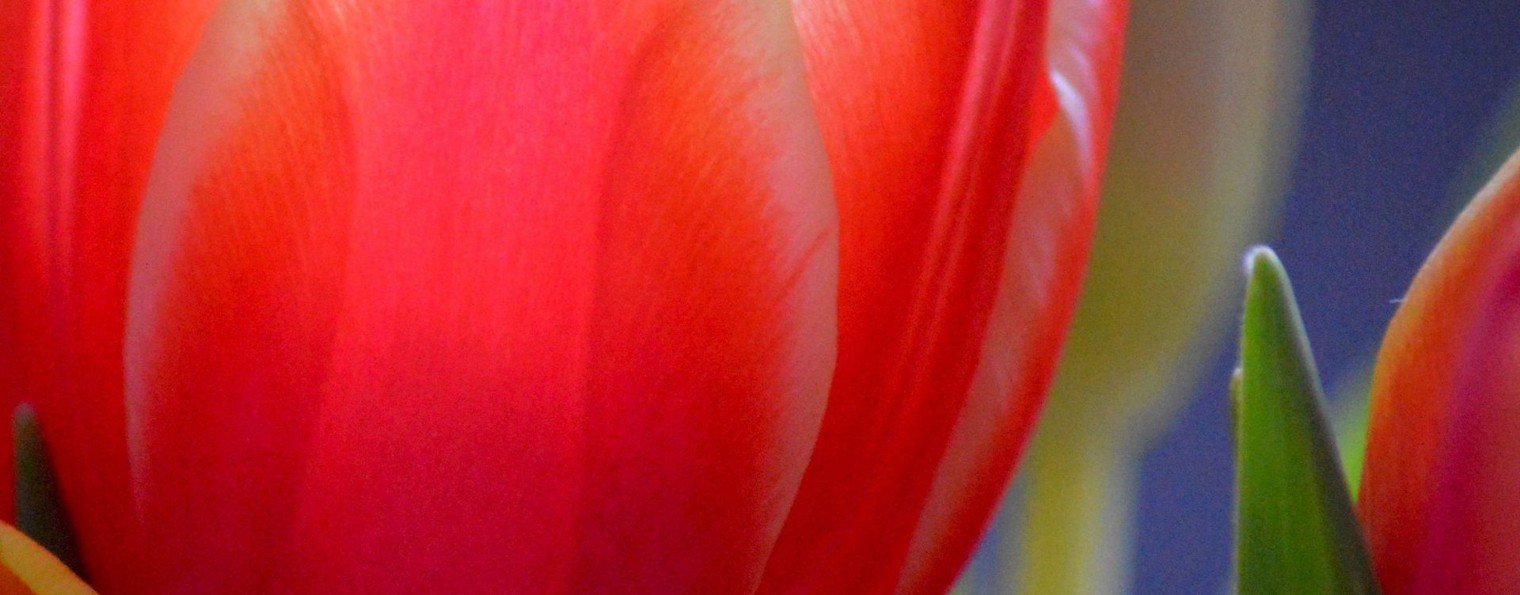 Михаил Малков Музыка