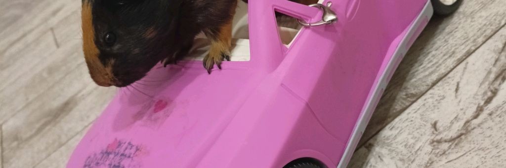 Вика Супер Класс