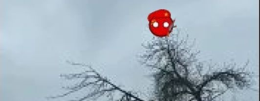 кантриболз (Советский союз)