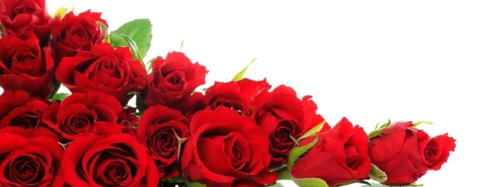 Ирэн и нейромузыка.