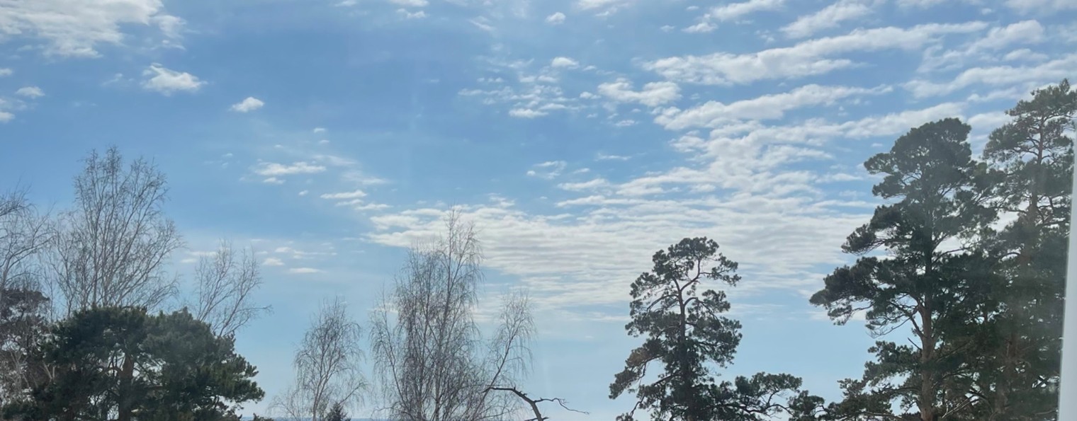 Азбука здоровья