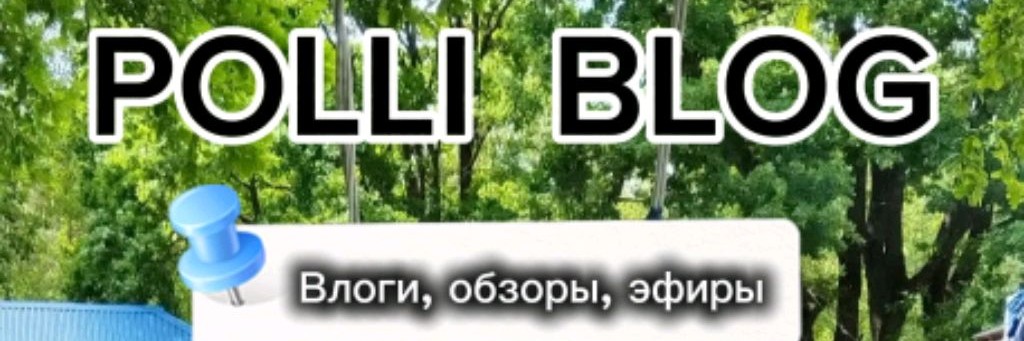POLLI BLOG.