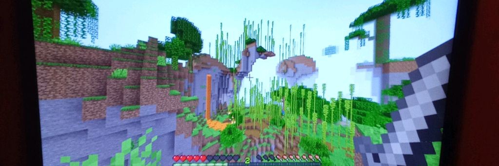 Даня-майнкрафт☑️