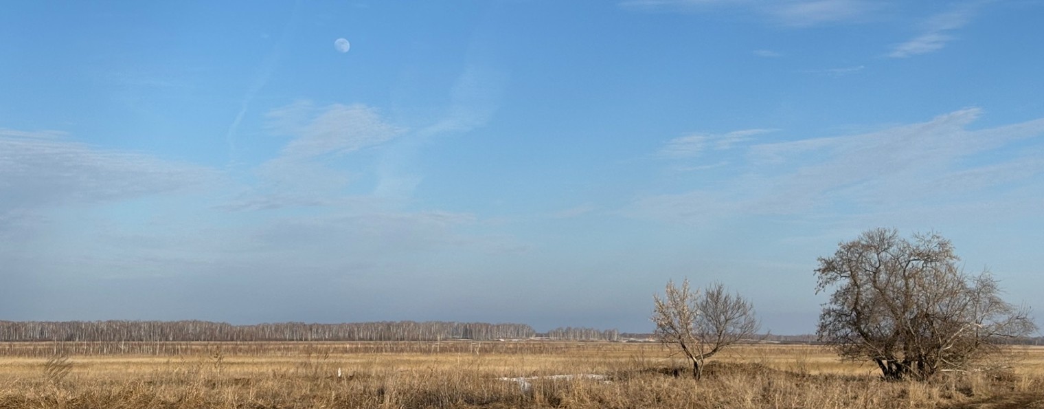 Распаковка wb,озон. Обзор покупок.