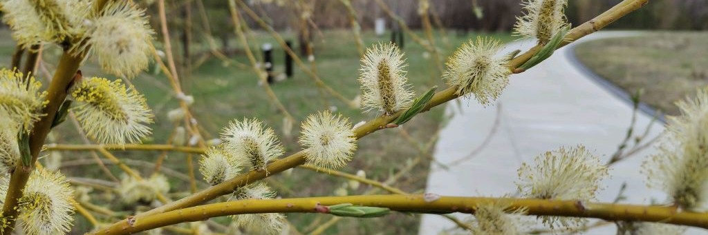 Наказ дедов - вернуть Отечество!