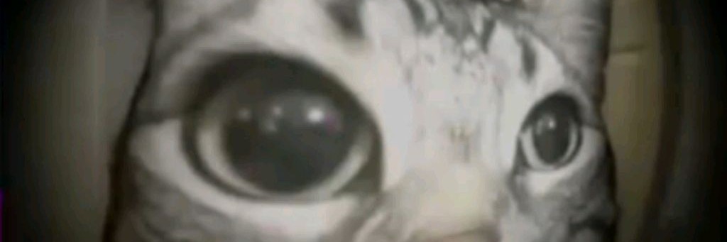 💦💙Mr. Вайрон ✔️💙💦