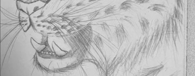 Королевство животных!!