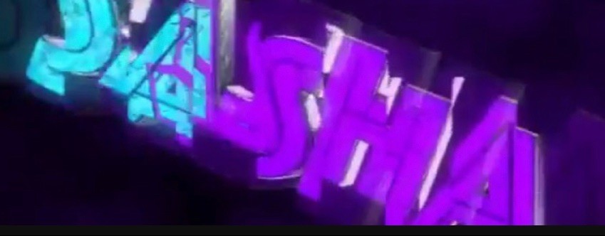 Sasha-PRO
