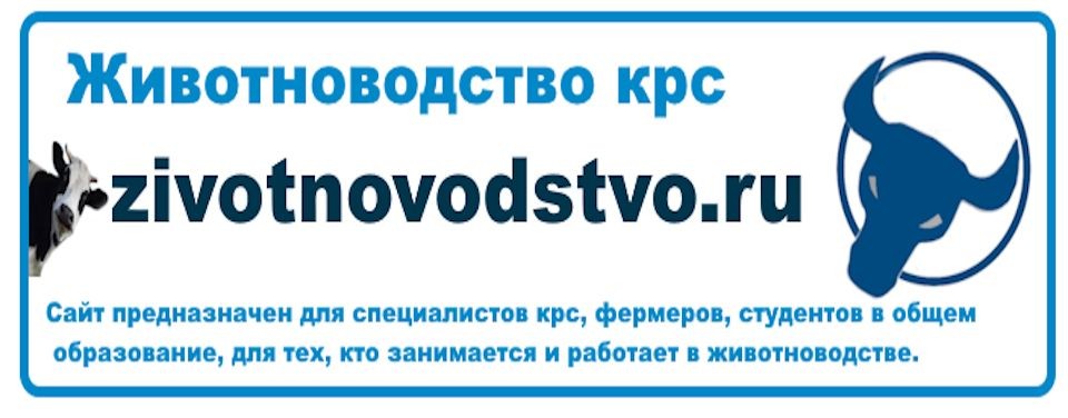 Животноводство крс