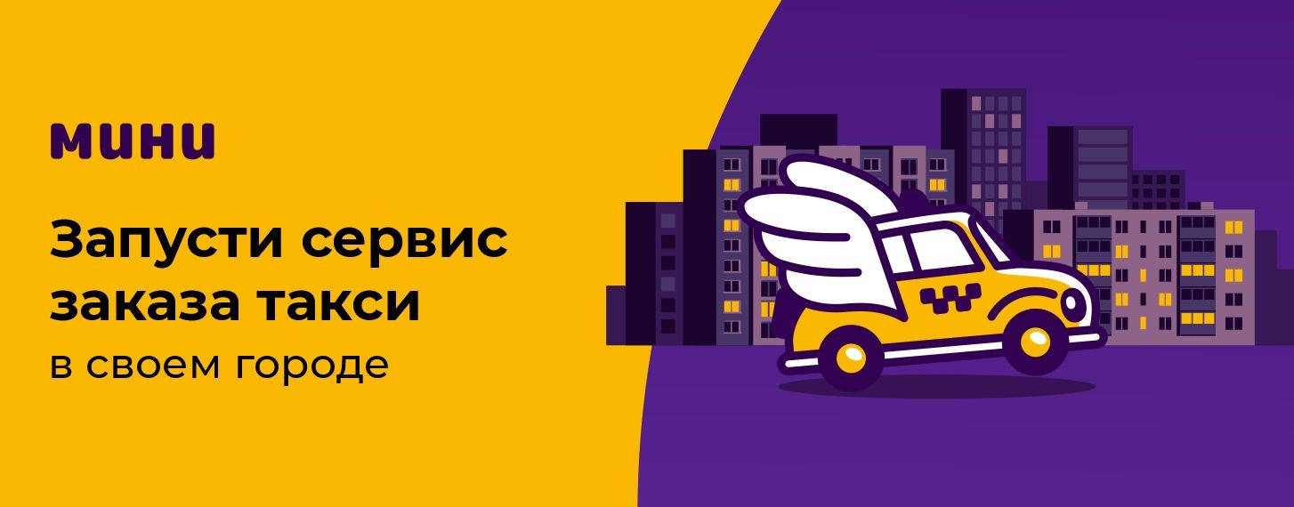 Франшиза Мини