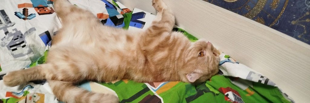 Макар Котик