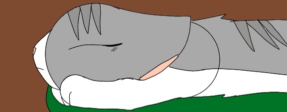 Лянохвостая кв